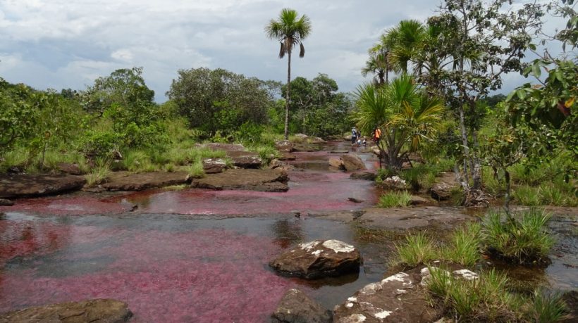 Guaviare: discovering a remote tourist attraction • Lulo Colombia ...