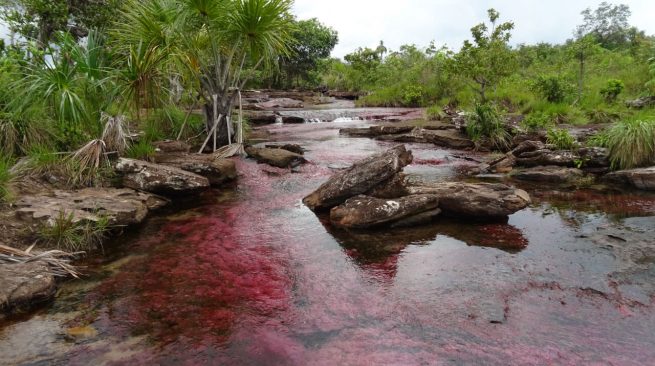 Guaviare: discovering a remote tourist attraction • Lulo Colombia ...