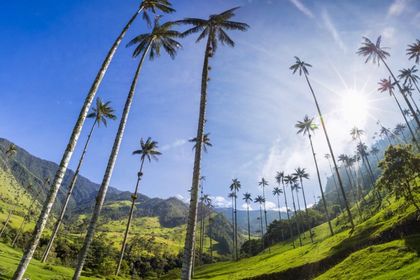 Colombian Symbols: a quick guide • Lulo Colombia Travel