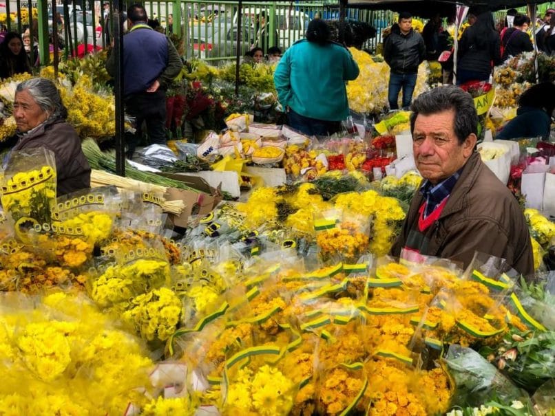 Colombian Flowers - A display of its biodiversity • Lulo Colombia Travel